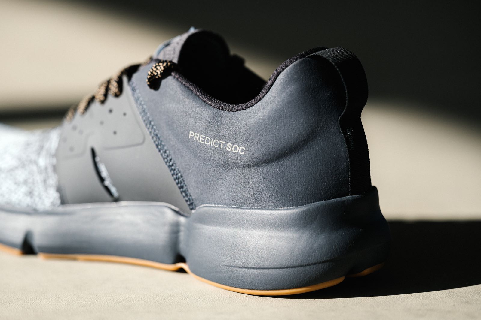 Salomon Predict Soc im Test